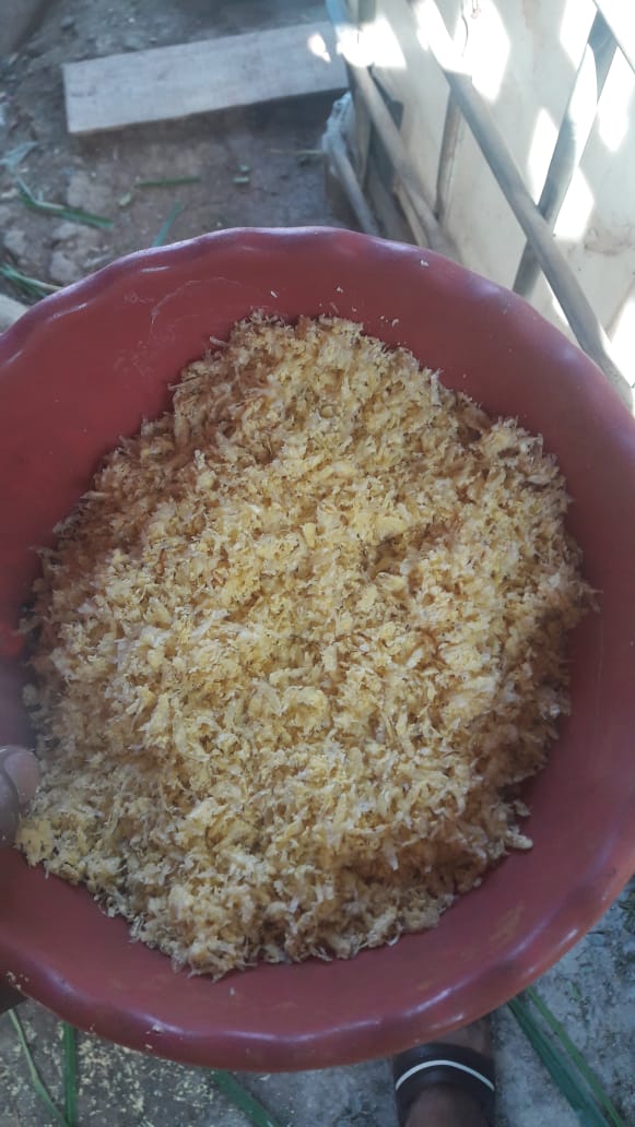 Jual Ampas Jagung untuk Pakan ternak BEJO UTOMO FARM