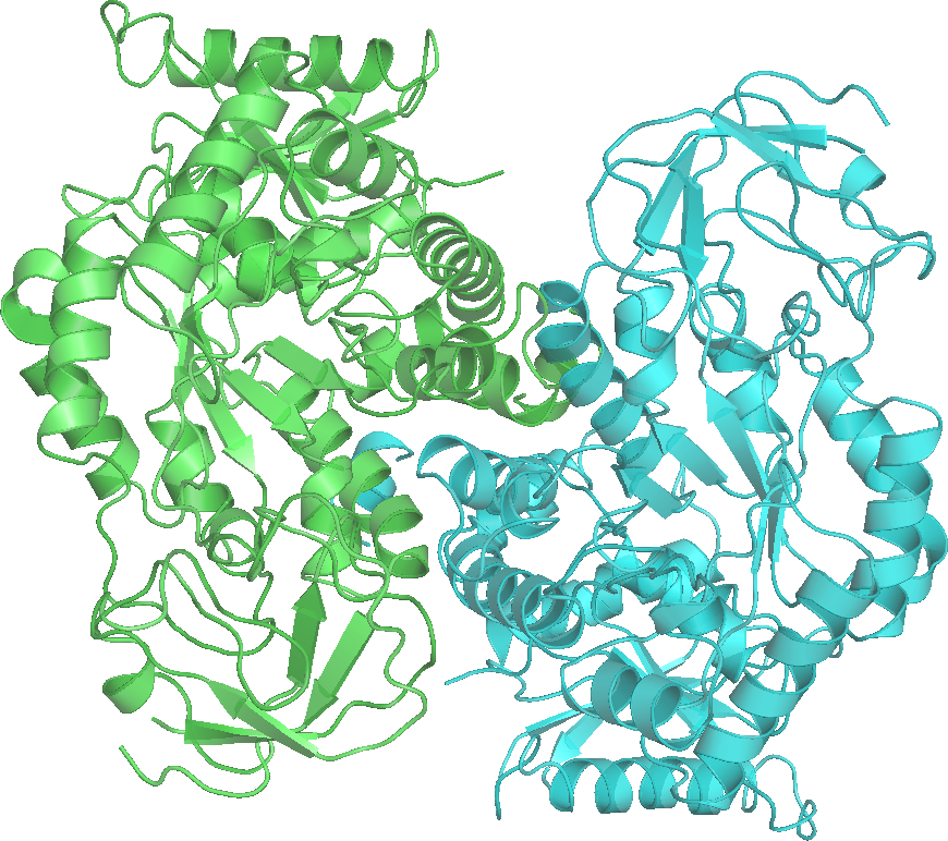 World of Biochemistry (blog about biochemistry): Glycolysis (enzymes of ...
