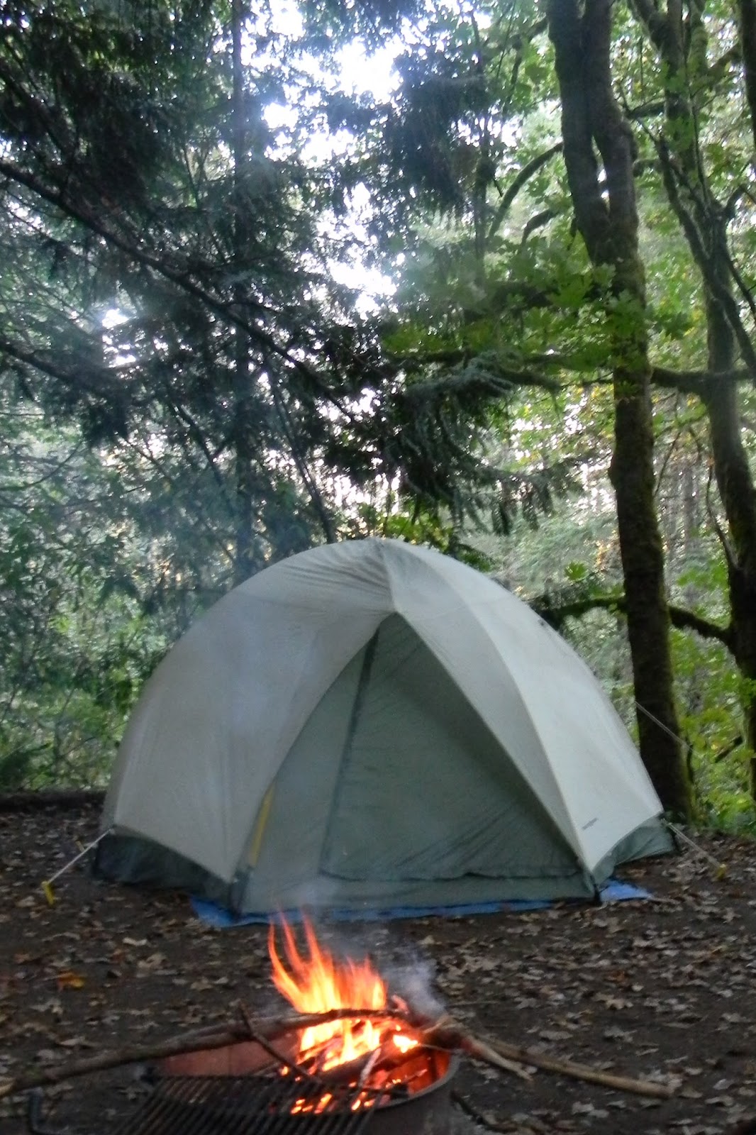 Teaching Authors--6 Children's Authors Who Also Teach Writing: Poetry ...