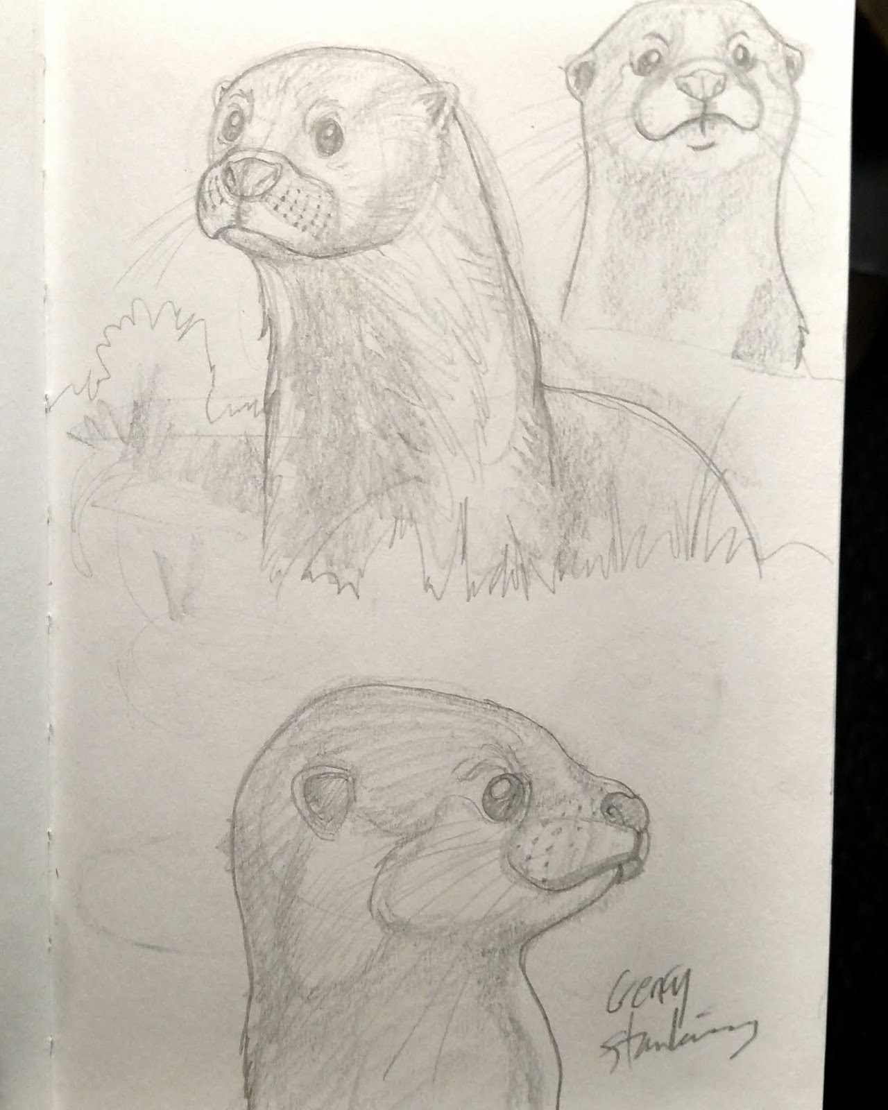 The Tale of Steve Silverado: Sam Bouka: The Otter Pirate Design Process