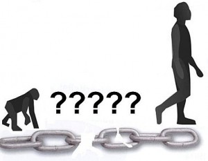 Gloire au Créateur: Le chainon manquant