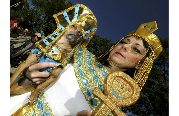 AniCompendium: Halloween costumes...dog fashion!