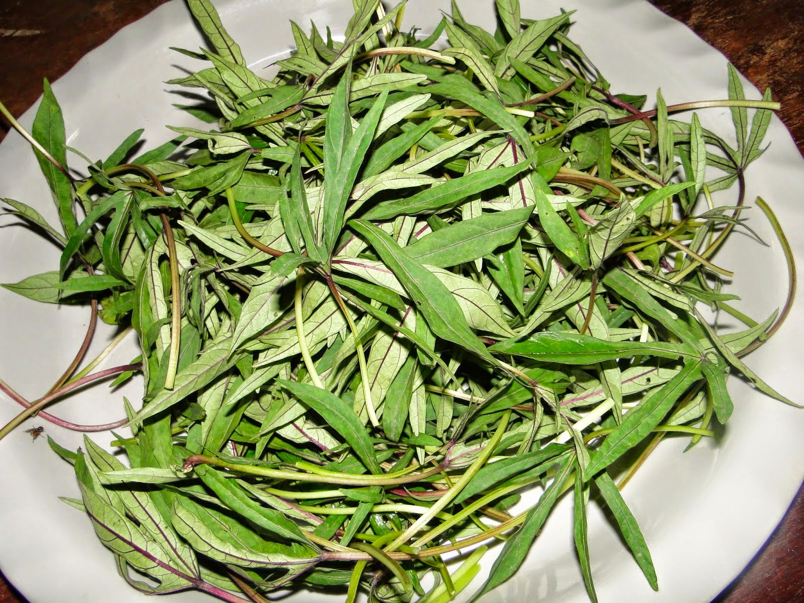 MAISHA NA MAFANIKIO: MLO WA MCHANA WA LEO:- UGALI,TEMBELE NA DAGAA