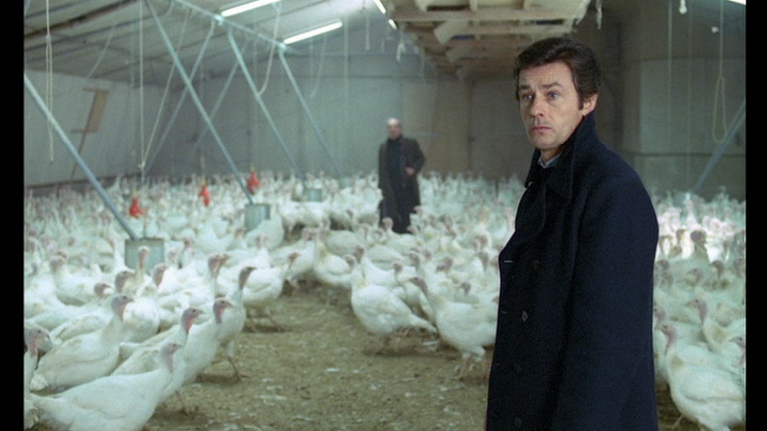 Happyotter: LE CHOC (1982)