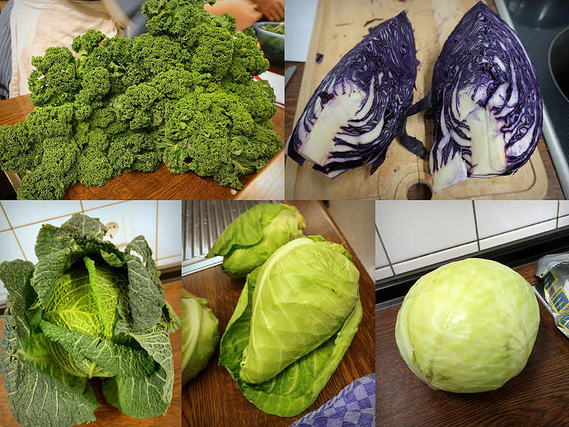 Genussbereit: Genießers Kochkurs: Kochen mit Kohl