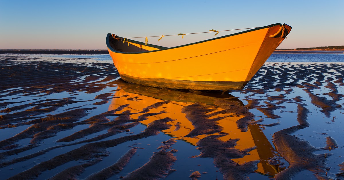 Chris Cook Photography: Finding Dory