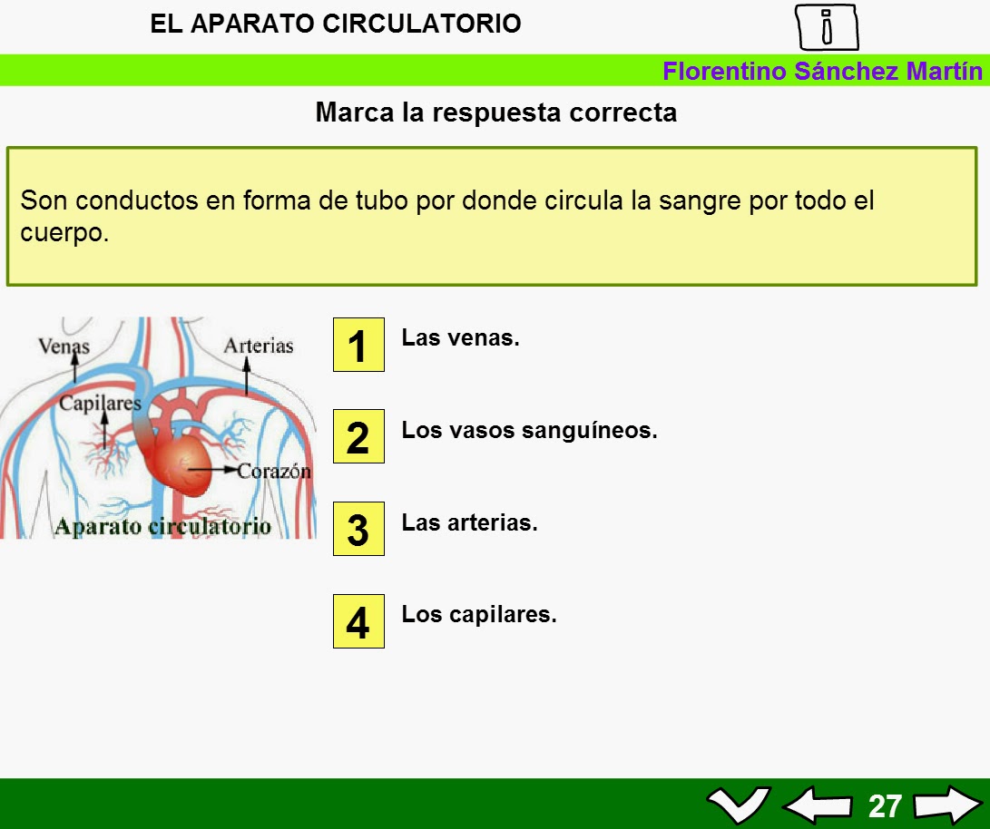 SISTEMA CIRCULATORIO: 3 aplicaciones web para el aprendizaje del ...