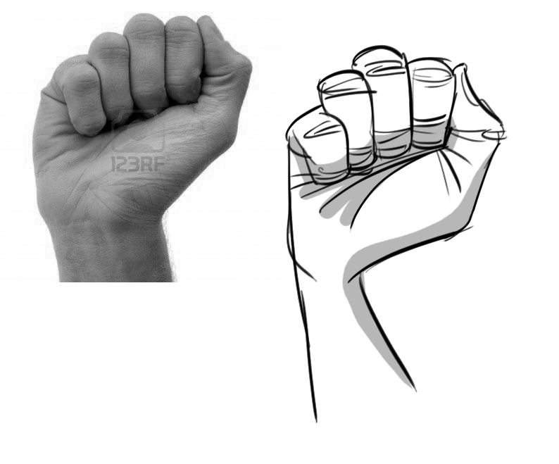 Animopus: Hand Poses Galore!