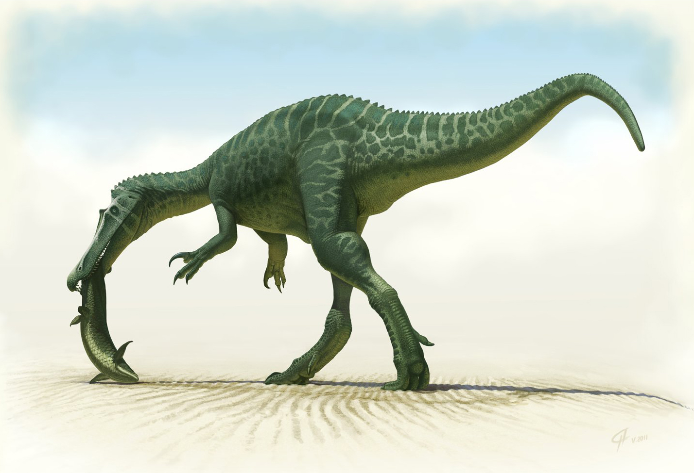 Baryonyx | Ikessauro