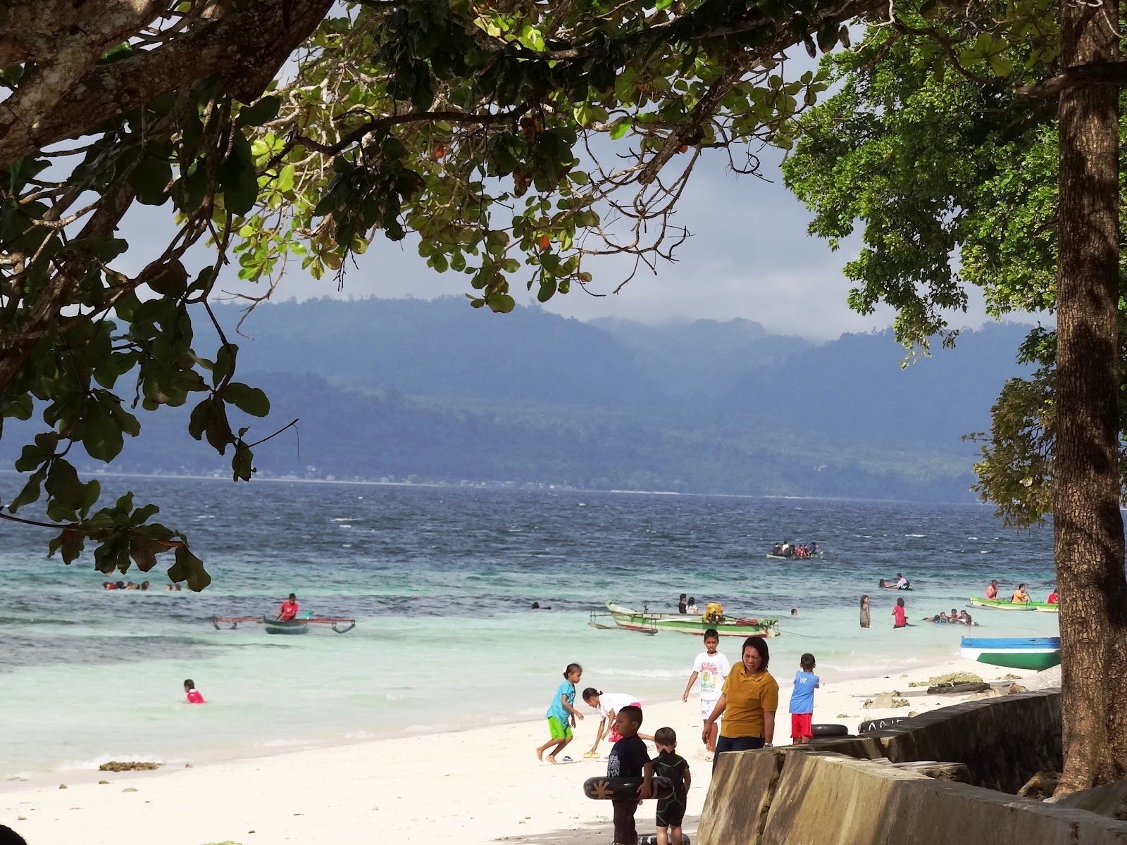 Wangi rumput: Ambon Manise