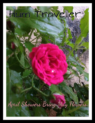 Hum Traveller: Things Which You Never Knew About the Month of May