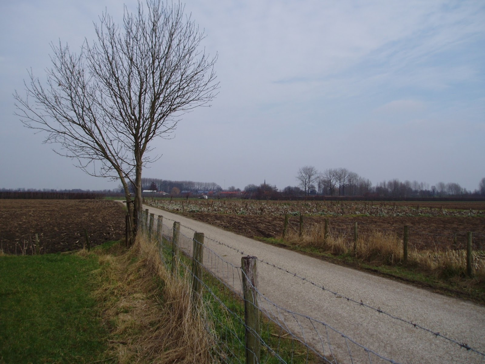 WWAWWW: Ronde van Jaarsveld