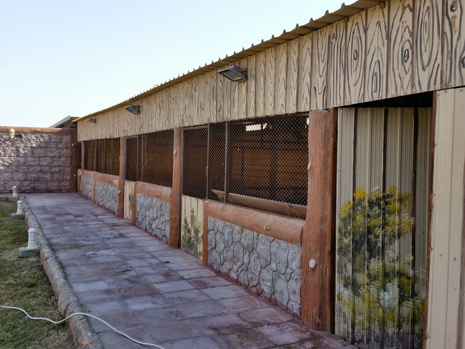 Life in Kuwait Blog: Family day in Kabd