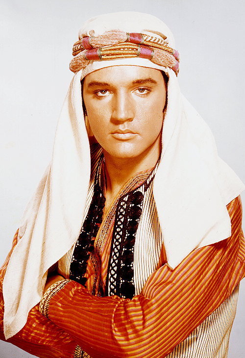 Today's best picture ever: Elvis!