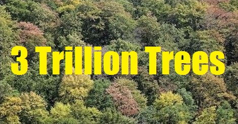 Thoughts to Promote Positive Action...: Three Trillion Trees