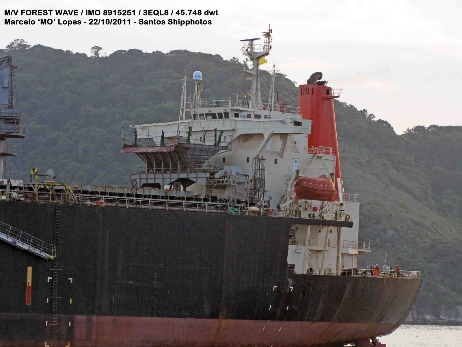 Santos Shiplovers: M/V Forest Wave / 3EQL8 - Um Wood Chip Carrier
