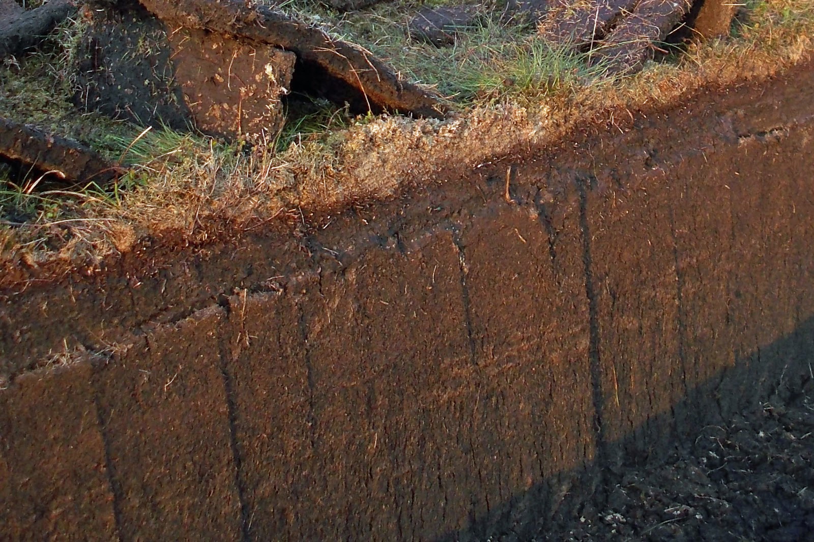 Dumfries and Galloway: A Regional Ethnology: Peat Cutting on Middlemoss ...
