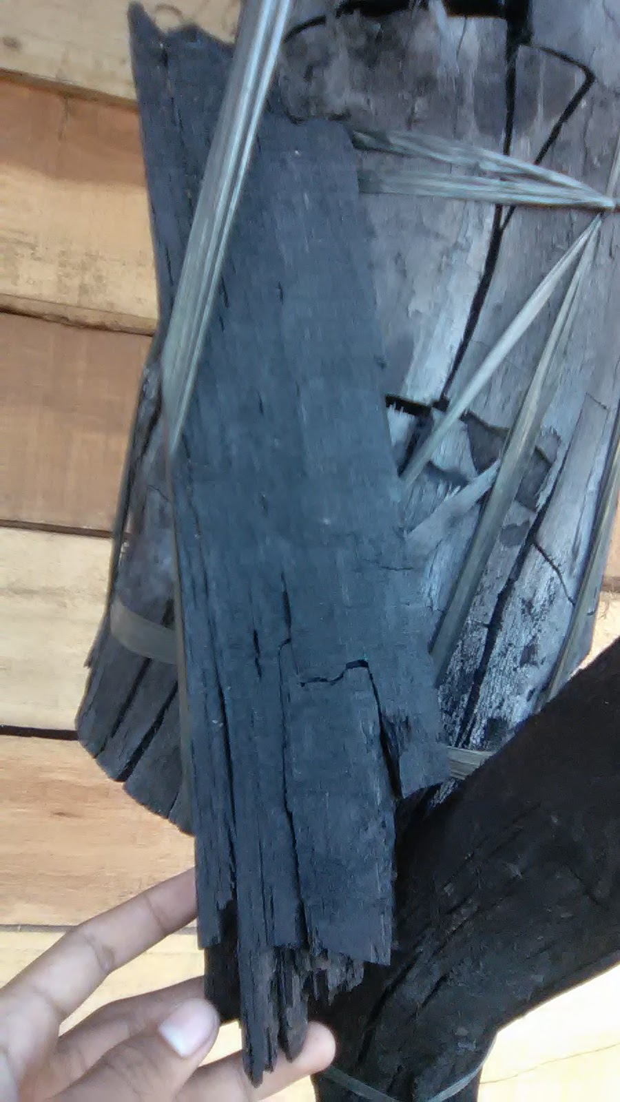 Jual Arang Kayu: Arang Dari Macam-Macam Jenis Kayu