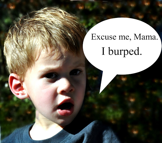 Werdyab Blog: Toddlish