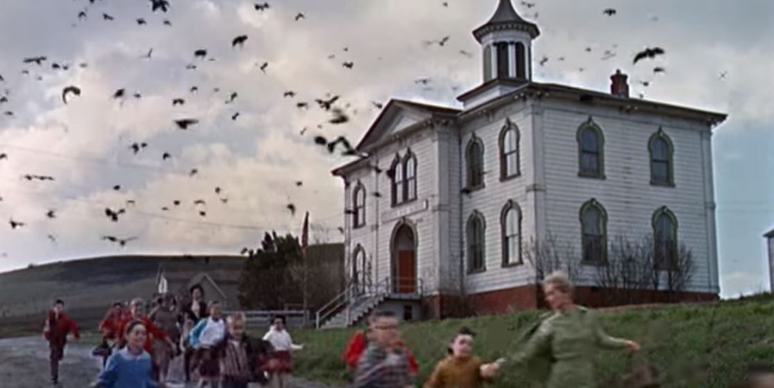 The Birds: Movie Review