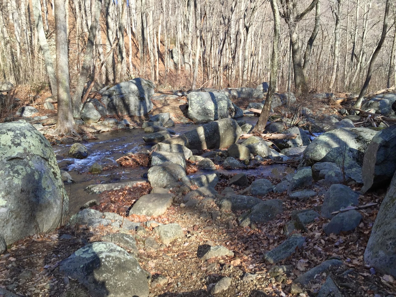 Wandering Virginia: Shenandoah Wilderness: Nicholson Hollow Trail and ...