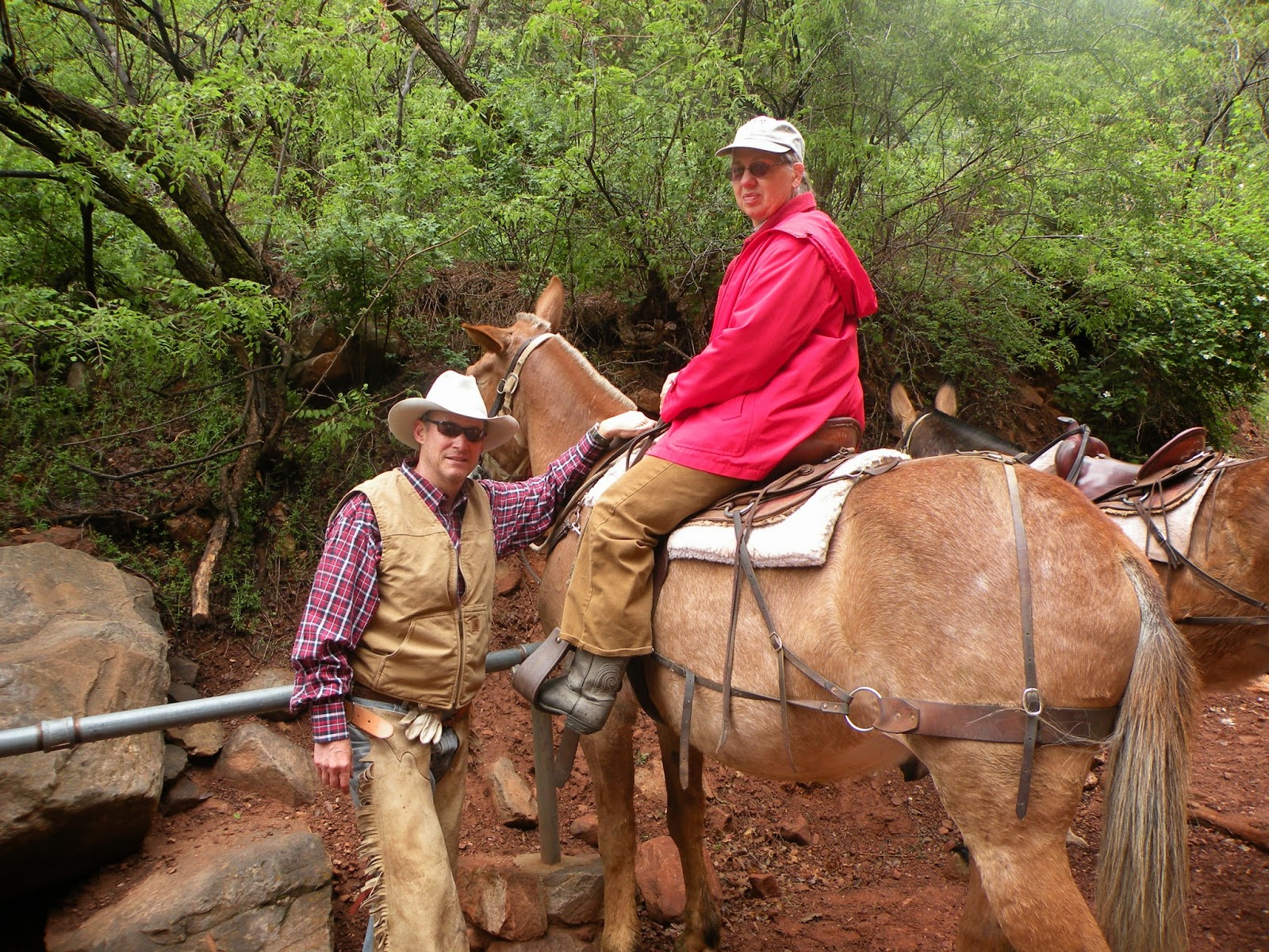 Dream Packer Trail Adventures: Grand Canyon, Master Muleteer 2009