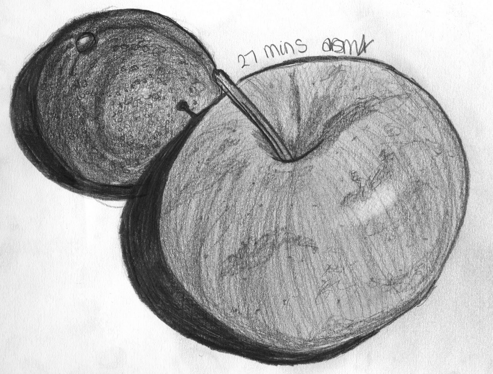 Observational Drawing: Week Seven