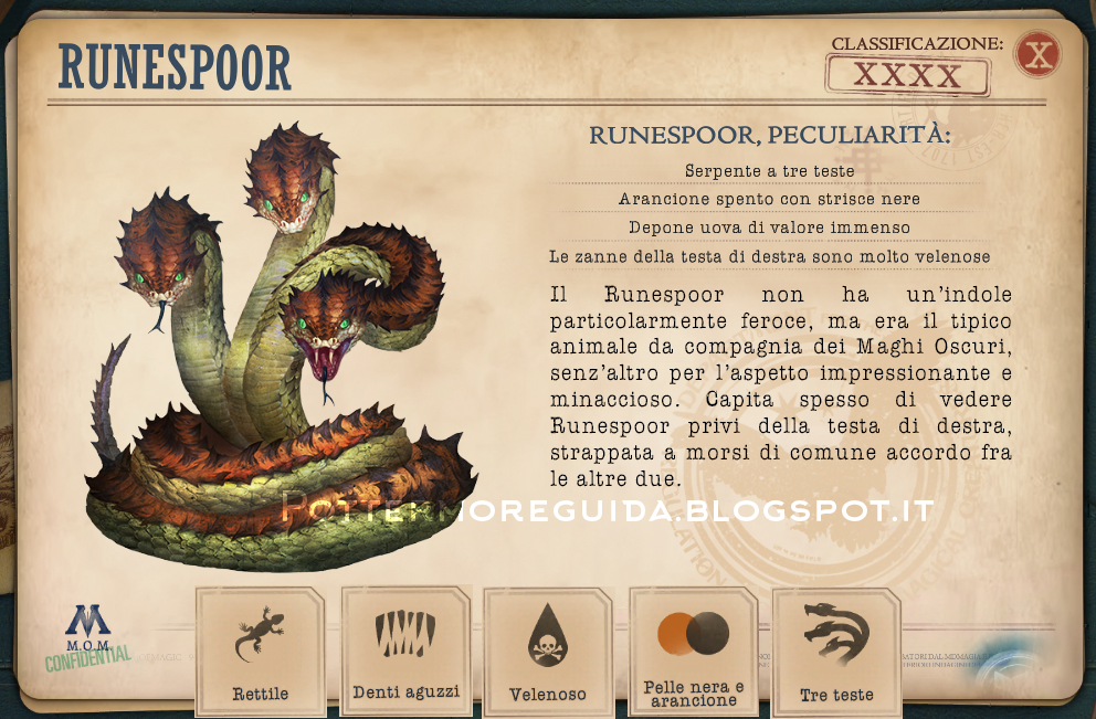 Animali Fantastici: li trovate qui! | Guida a Pottermore