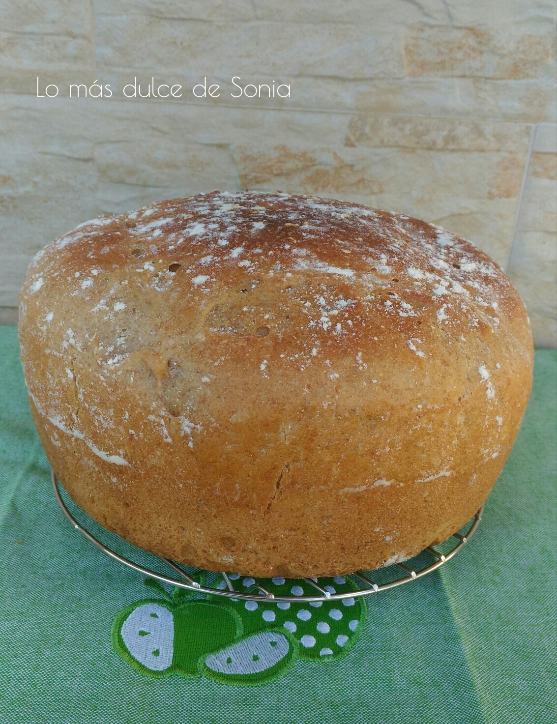 Pan fermentado y horneado olla GMG