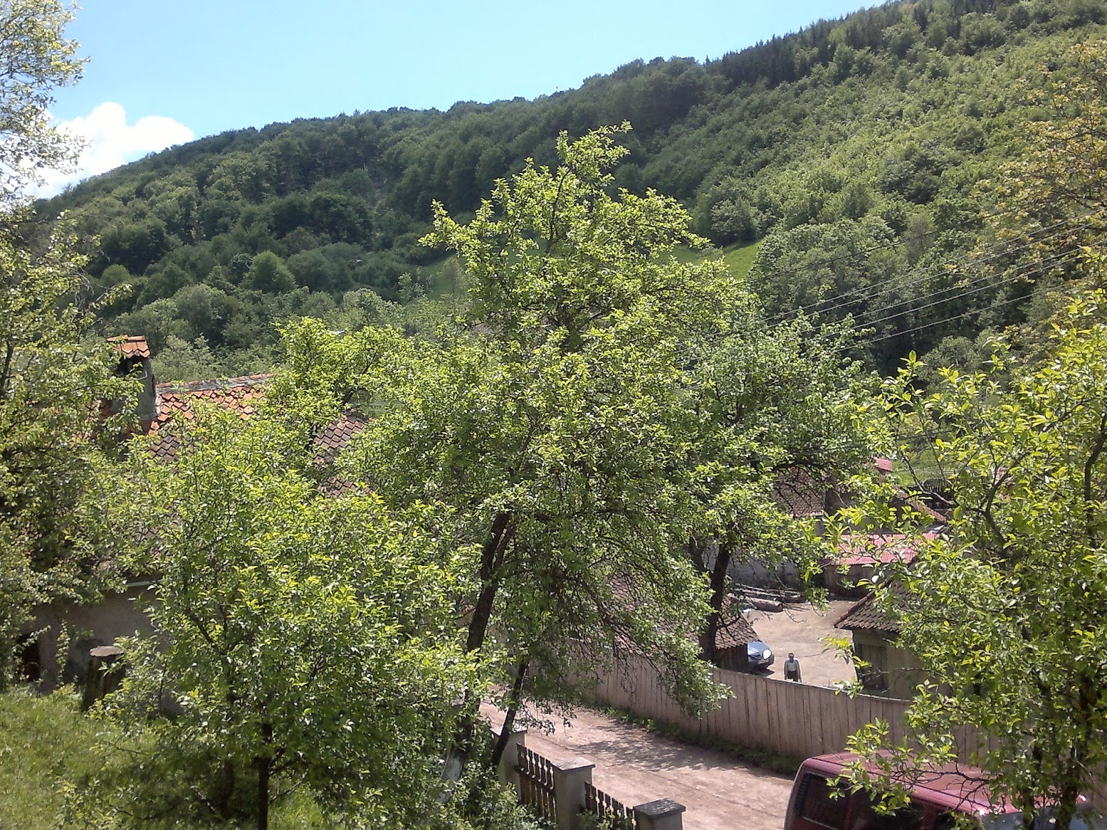 MANASTIRI-CALATORI : VALEA ZALANULUI..