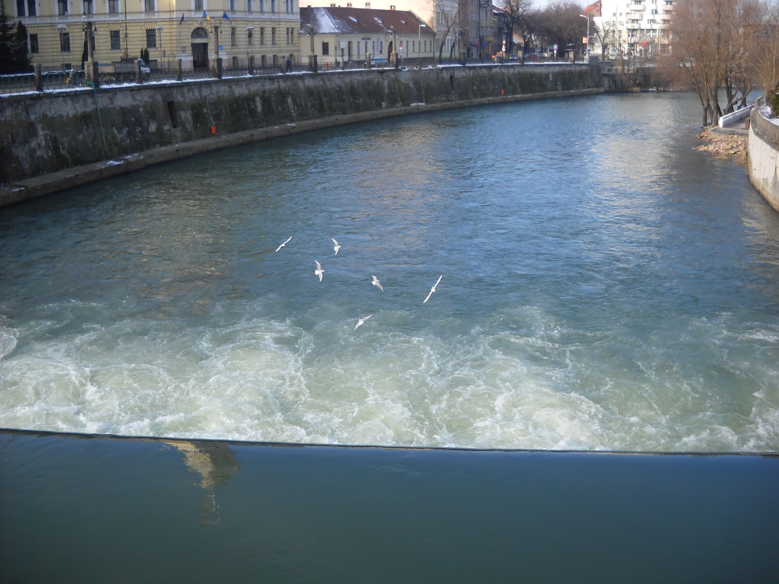 natura si aventura: Raul crisul repede