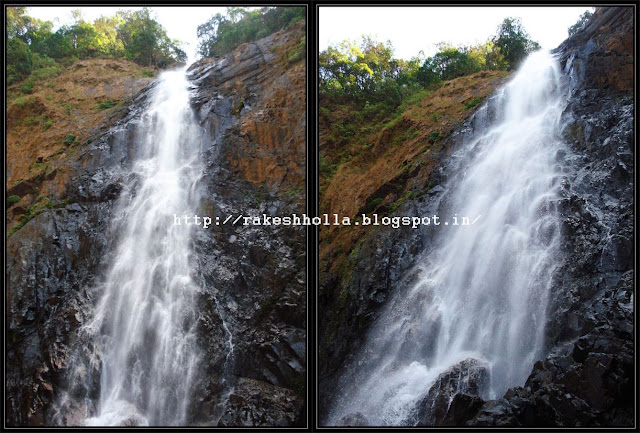 The Voice of Greenery - Trekking and Travelling in Western Ghats: Dabbe ...
