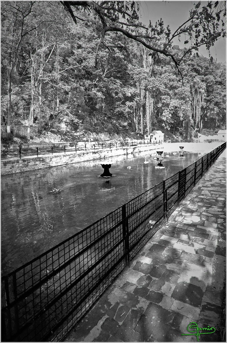 Samir Pradhananga Photography: Balaju 22 Dhara Park Photo Walk & Monkey ...