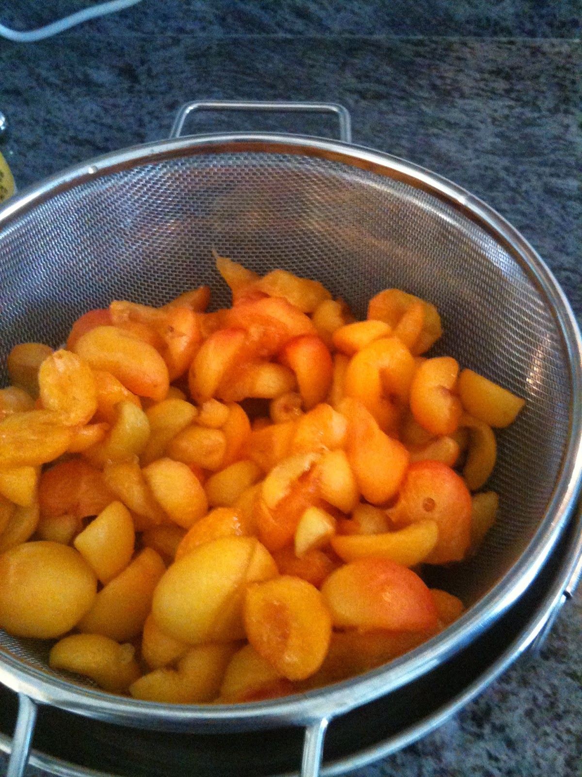 #30 "UNDER THE SUN" HOMEMADE APRICOT JAM - Syrian Recipe ~ TRAVEL ALONG!