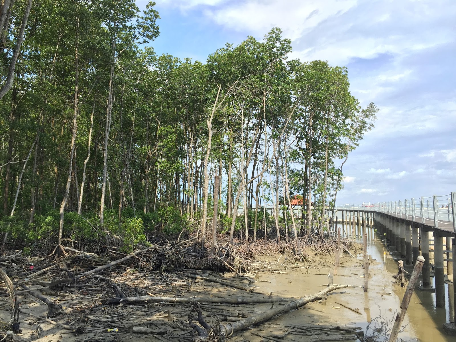 Melawat Tapak Ramsar Tanjung Piai, Pontian, Johor