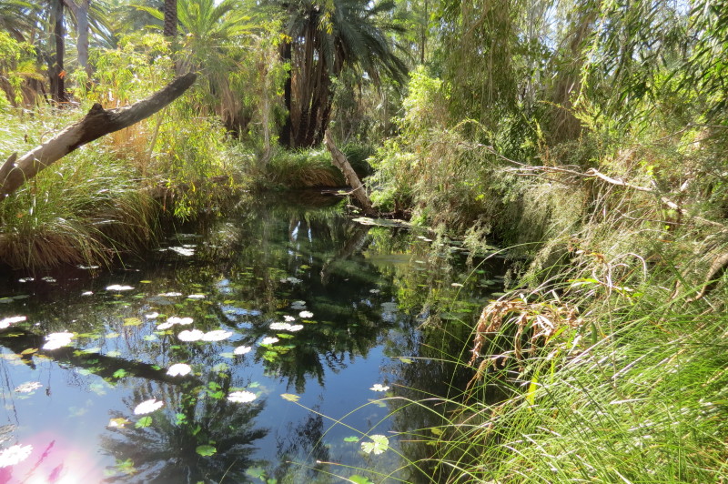 The Travelling Novocastrians: MILLSTREAM CHICHESTER NATIONAL PARK WA
