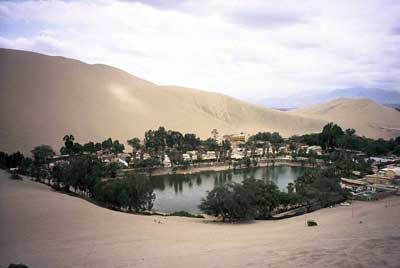 Five of the most beautiful Oasis in the world | The True Adventures