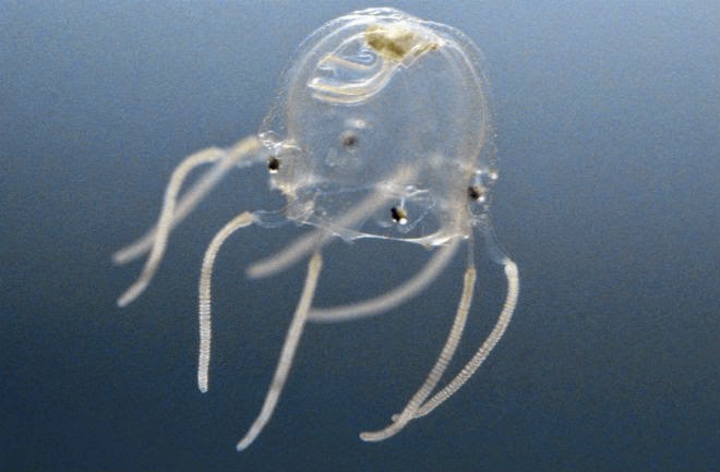 Thursday English Class