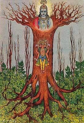 ॐ)):~ Spiritual Sanatan ~:((ॐ)):~: THE SAMSARA ASVATTHA TREE