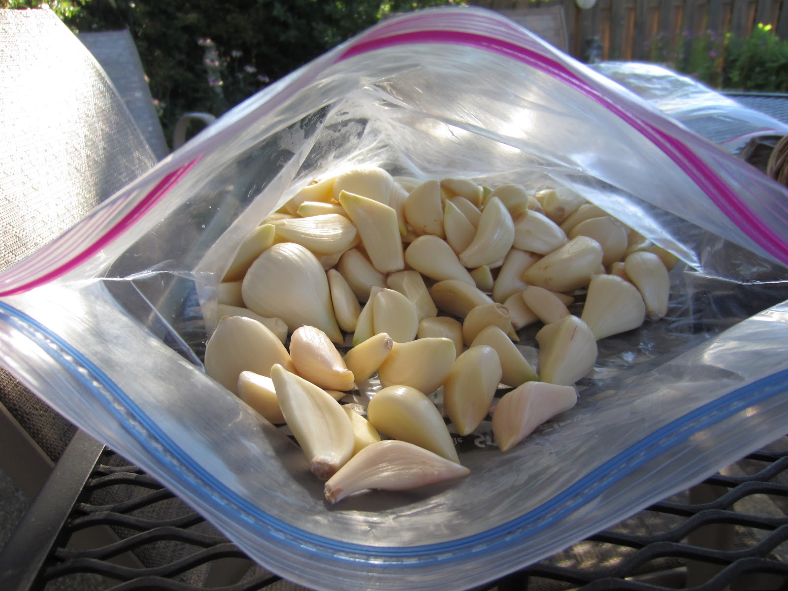 The Farmer: A pound of garlic