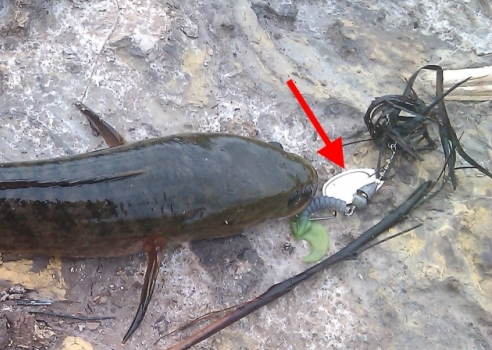 Lures - Inline Spinner | THE ANGLERS