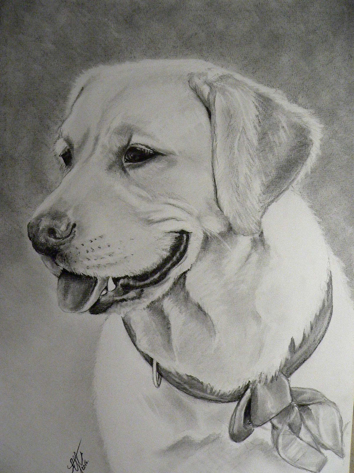 PASJE ELI H. : SZKICE OŁÓWKIEM, WĘGLEM, PĘDZLEM SUCHYM ...