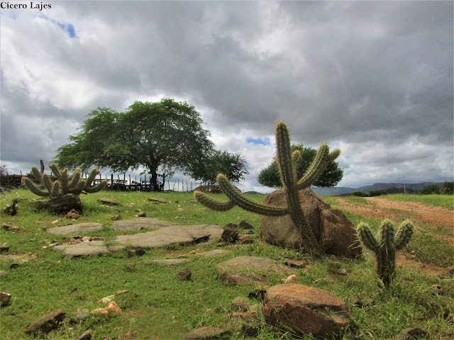 Cícero Lajes: Paisagens do Sertão Nordestino (Postagem 1)