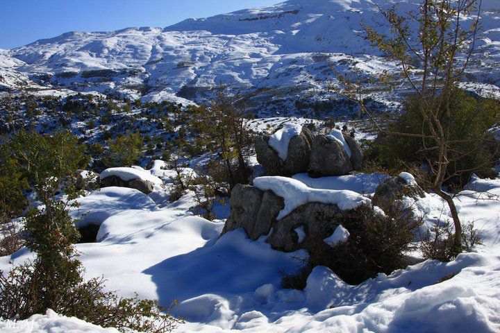 Makassed ERC: SNOW BEAUTY...MOUNT LEBANON..!