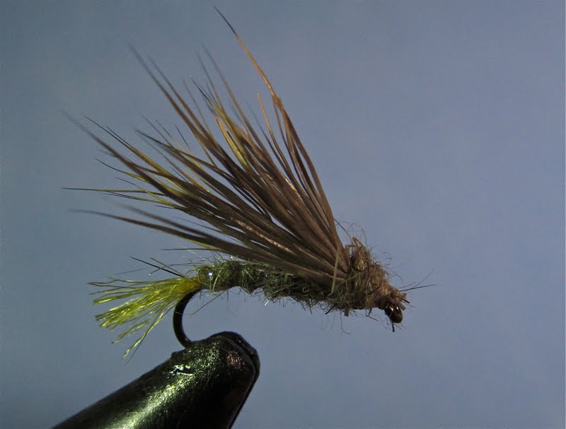 Central Alberta Fly Tying Club: December 19th, 2011 Cool Caddis Patterns