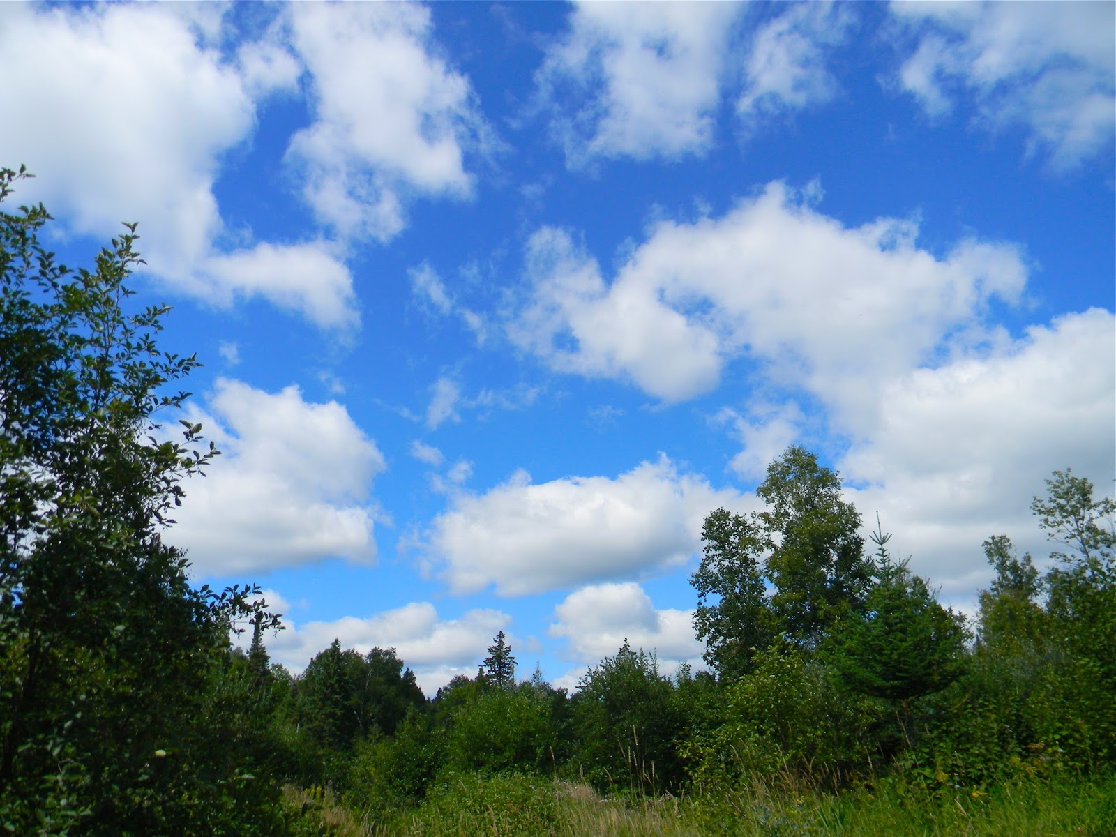 Creeks to Peaks: The Border Route Trail: Hiking Between Countries
