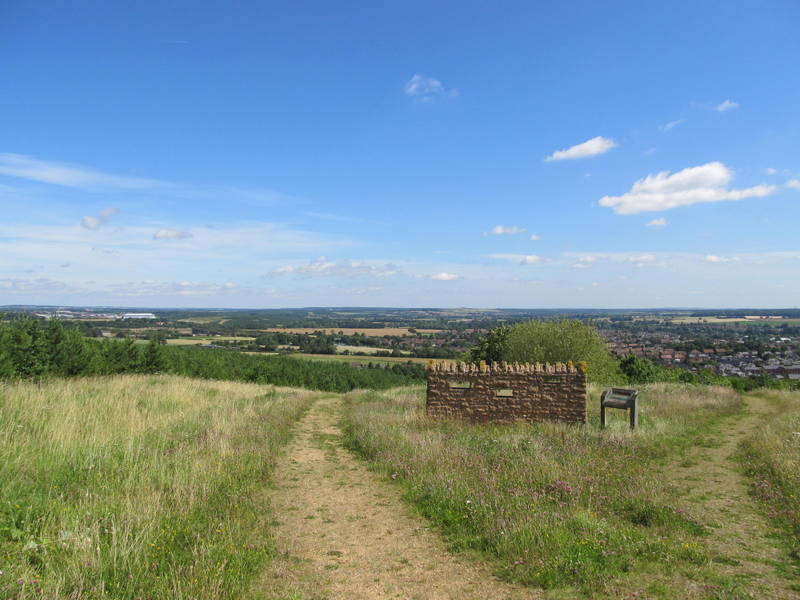 UK Wanderings: Oxclose Wood and Meden Trail