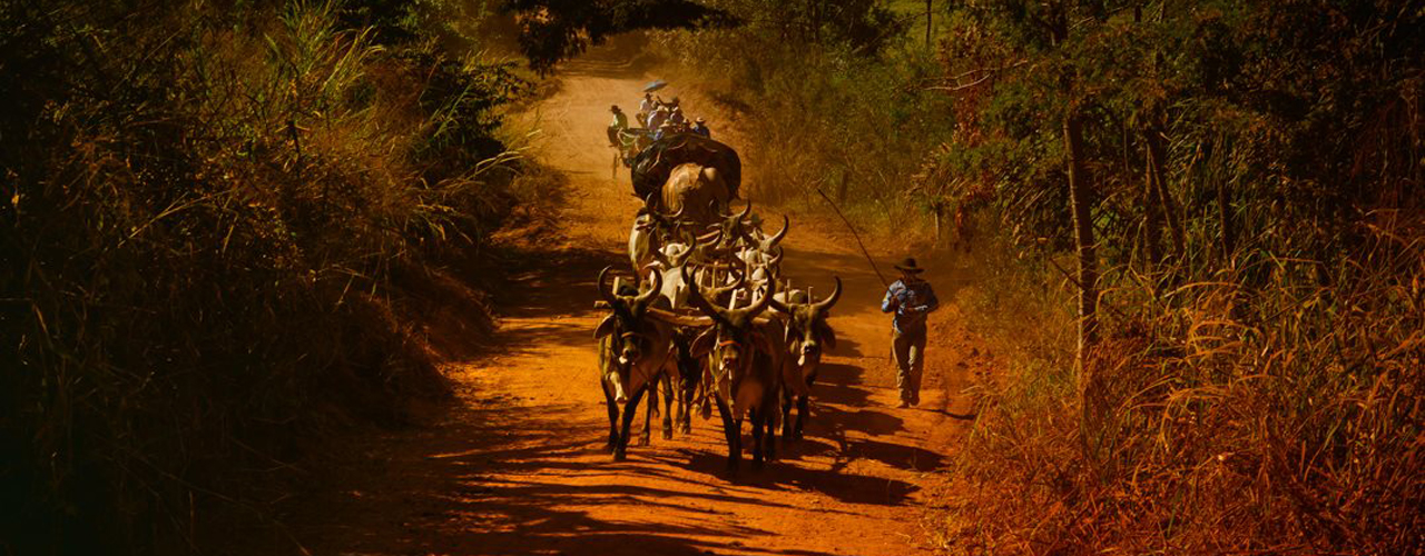 Sagarana de Guimarães Rosa está entre as leituras escolhidas da USP ...