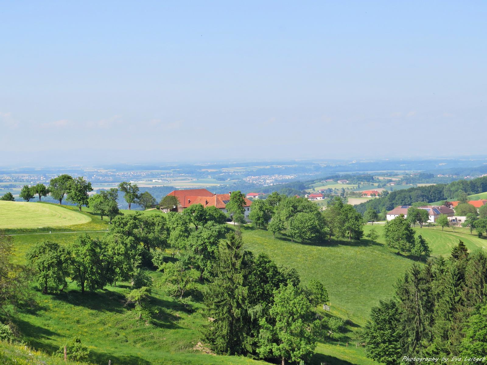 EVA'S WELT: In der Höh'....