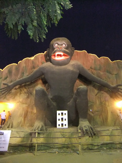 Bonsai Bumblings: Chennai Exhibition near Annanagar Roundtana